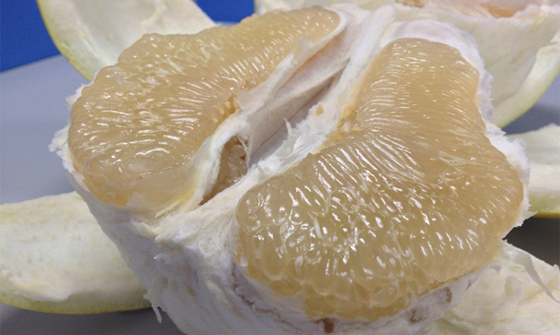 White Pulp Honey Pomelo